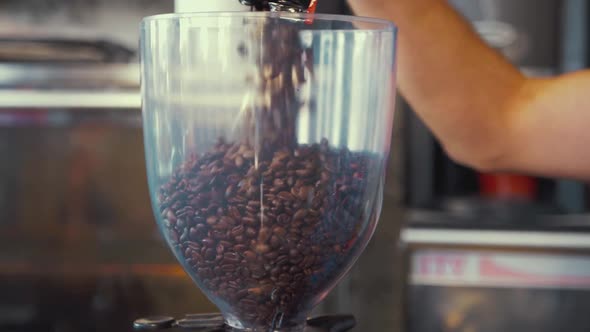 Coffee beans filling hopper, Stock Footage | VideoHive