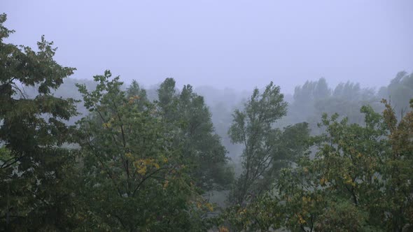 Heavy Rain And Strong Wind, Stock Footage | VideoHive