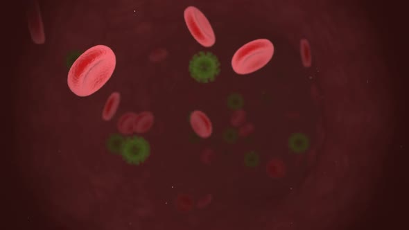 Virus Infection In Blood Stream, Motion Graphics | VideoHive
