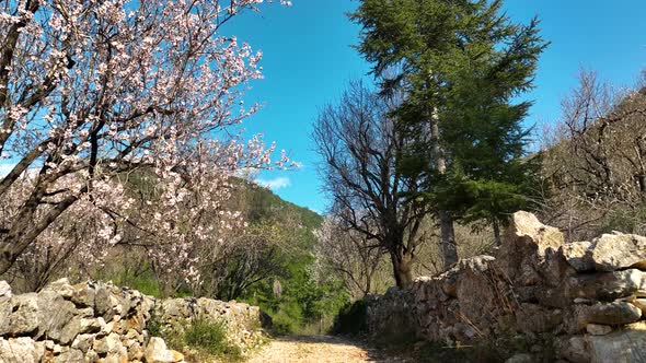 Mendal Garden, Stock Footage | VideoHive