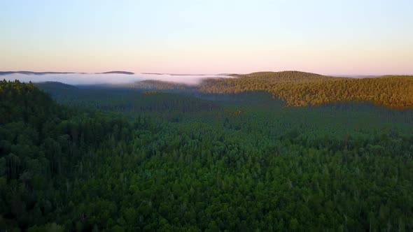 Scenic aerial view of a dense forest as some fog rolls in overtop the ...