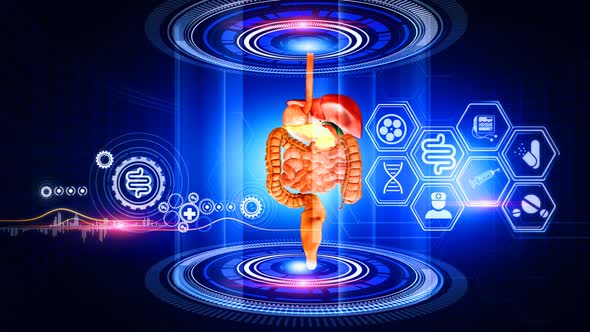 Human Digestive System Virtual Reality, Motion Graphics | VideoHive