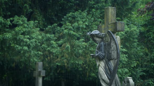 Typical Cemetery In The Rain, Stock Footage | VideoHive