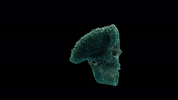 Skull Forming Out Of Worms, Motion Graphics | VideoHive