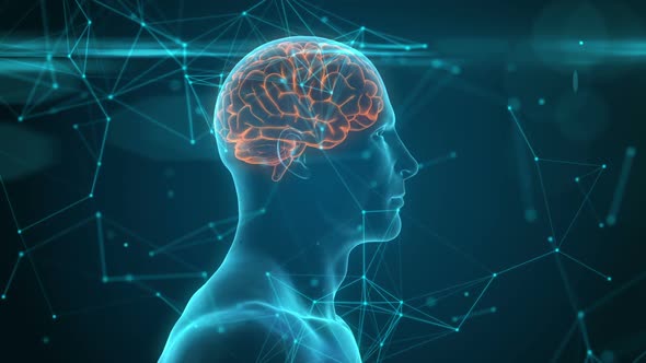 Conceptual Human Brain Neuronal Activity Motion Graphics Videohive