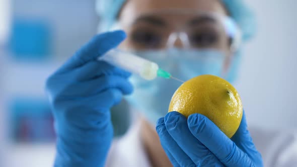 Female Researcher Injecting Test Liquid Lemon Sample, Toxicology ...