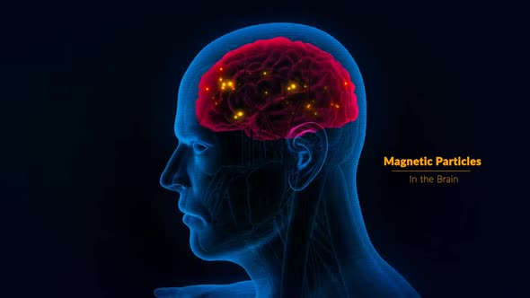 Magnetic Particles In The Brain, Motion Graphics | VideoHive