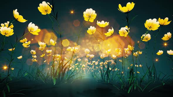 Magic Flower Garden 4k, Motion Graphics | VideoHive