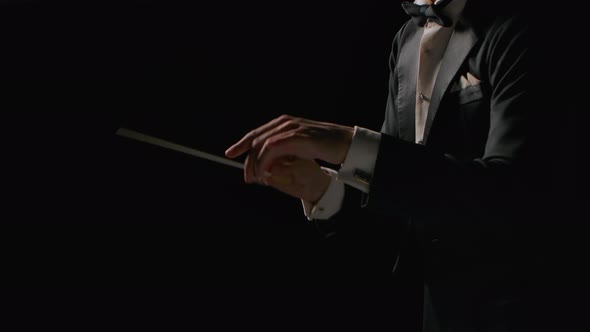 Symphony Orchestra Conductor Wearing Suit is Directing Musicians with ...