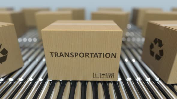 Carton Boxes with TRANSPORTATION Text Move on Conveyor, Motion Graphics