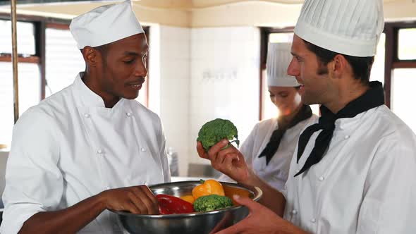 Head chef and his team inspecting the vegetables, Stock Footage | VideoHive