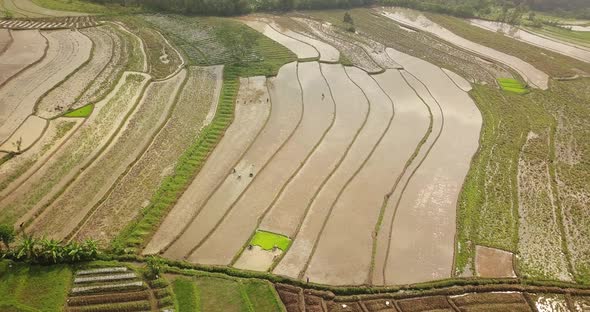 Asian countryside. view of watery land in lush green fields in central ...