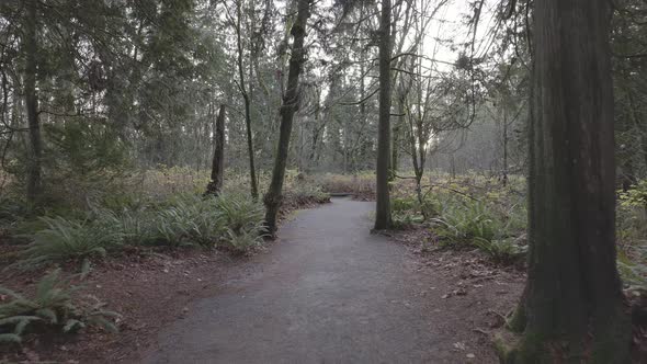 Derby Reach Regional Park in Langley Greater Vancouver British Columbia ...