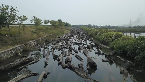 Numerous wood logs submerged in a water channel, Stock Footage | VideoHive