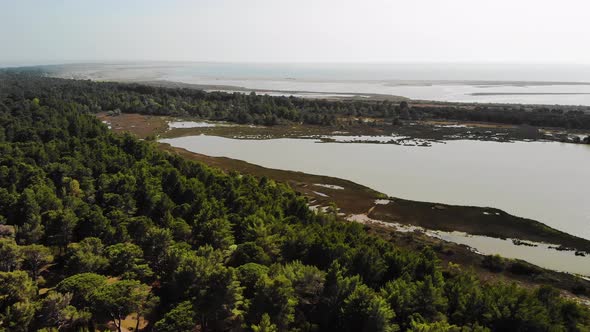 Aerial flight Divjaka-Karavasta National Park in Albania, Stock Footage