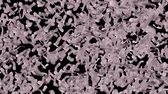 elementary life forms . observation of an unknown life form background ...