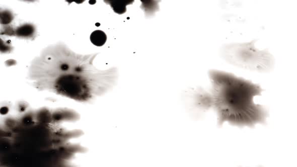 Stock footage of black ink spreading on a white screen, Stock Footage