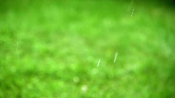 Rain, Stock Footage | VideoHive