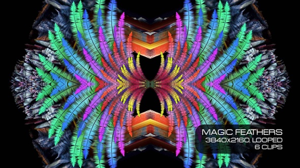 Magic Feathers 4K VJ Pack, Motion Graphics | VideoHive