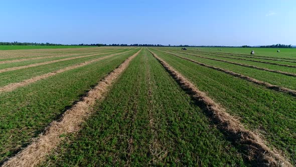 Green Field with Hay Harvesting and Farming, Stock Footage | VideoHive