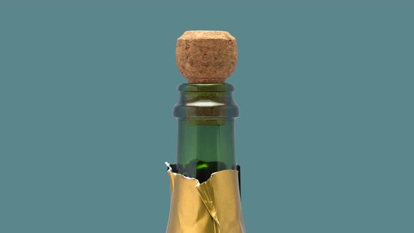 Champagne Cork Popping, Motion Graphics | VideoHive