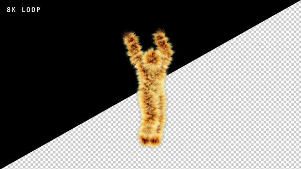 8K Party Animal Yeti Dance Loop, Motion Graphics | VideoHive