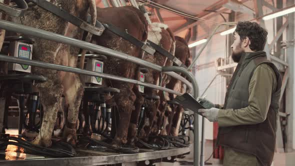 Checking Work of Carousel Milking Parlor, Stock Footage | VideoHive