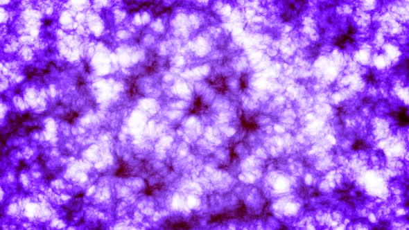 Colored matter of purple and white colors, Motion Graphics | VideoHive