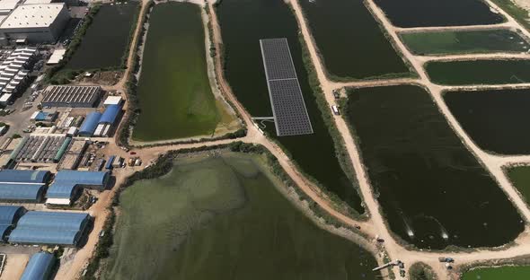 Aerial view of vast Fish farm pools., Stock Footage | VideoHive
