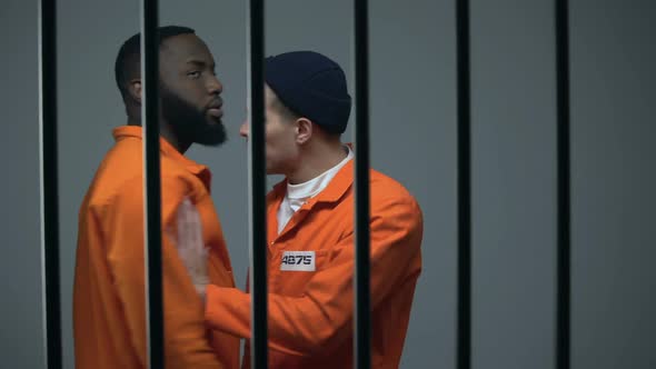 Caucasian Prisoner Fighting With Black Inmate, Discrimination, Jail ...