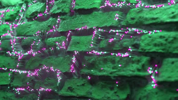 Fiber Optic Spreads Appears Between the Bricks and Spreads Along the ...