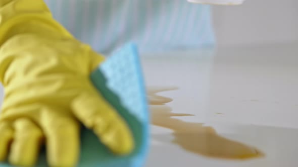 Female Wipe Off Table, Stock Footage | VideoHive