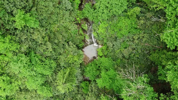 Aerial Top Down View River in Tropical Jungle Green Rainforest, Stock ...