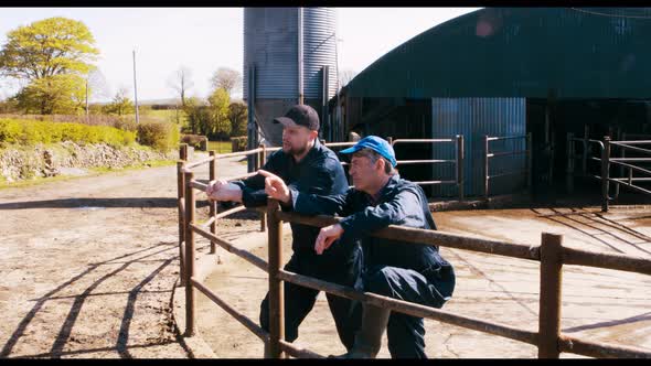 Two cattle farmers interacting with each other, Stock Footage | VideoHive