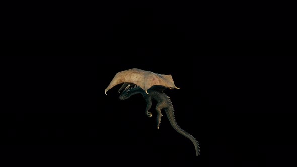 4K Dragon Flying Side View, Motion Graphics | VideoHive