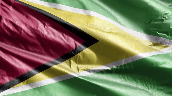Guyana textile flag waving on the wind loop. Slow motion. 20 seconds ...