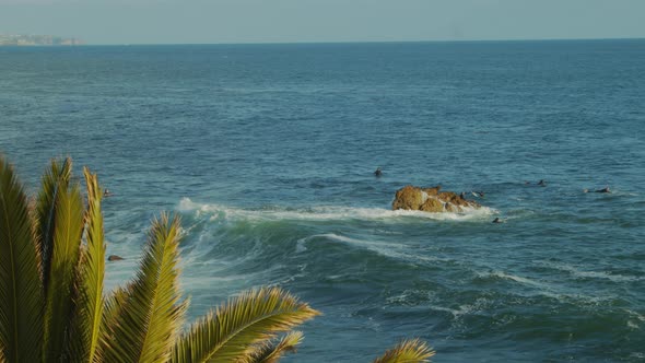 Surfers wading out into the waters of the Pacific Ocean on their surf ...