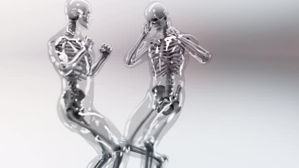 anatomy animation of Two male boxers fight, Boxing, exercise, extreme ...