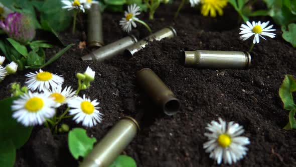 Bullet casings fall to the ground and chamomile flowers. Slow motion ...