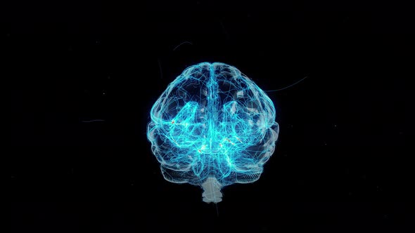 Digital Technology Of A Human Brain 4k, Motion Graphics | VideoHive