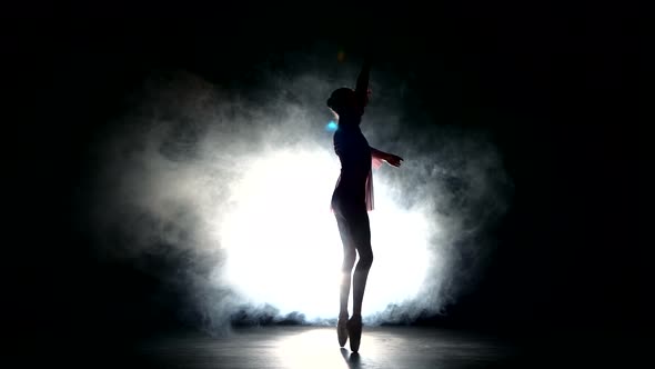 Bellet Dancer Dancing at Studio, Stock Footage | VideoHive