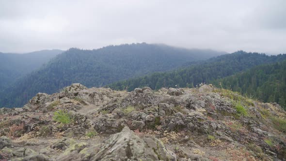 Cliff and forest., Stock Footage | VideoHive