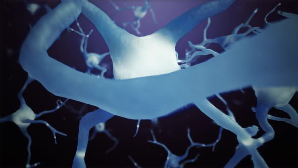 Loop Neuron Cells Connections World, Motion Graphics | VideoHive