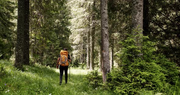 Urban Nomad Adventure on Hitchhiking Trip, Stock Footage | VideoHive
