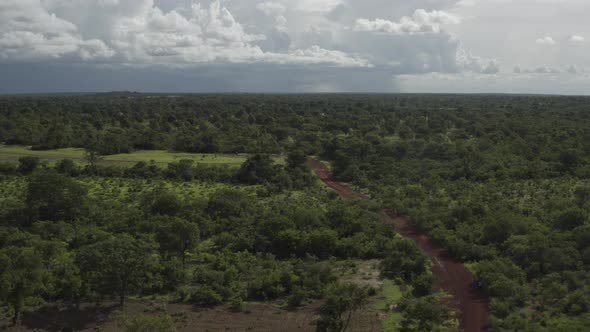 Africa Mali Forest And Road Aerial View, Stock Footage | VideoHive