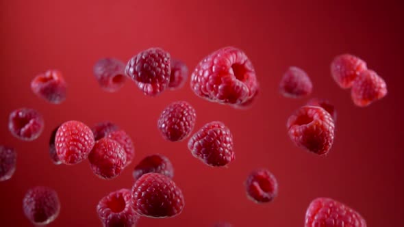 Ripe Raspberry Fly on a Red Background, Stock Footage | VideoHive