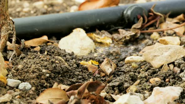 Water dripping from a pipe with drip irrigation, Stock Footage | VideoHive