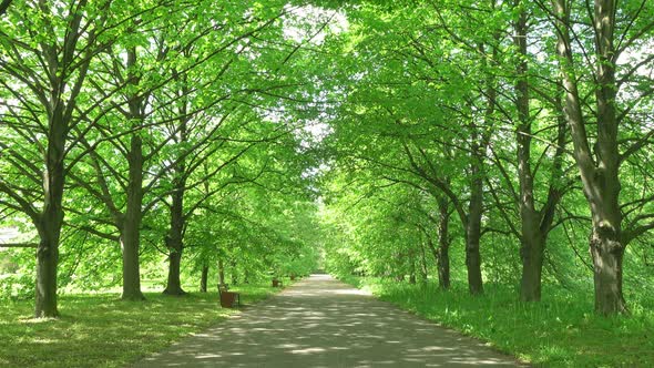 Park 4K, Stock Footage | VideoHive