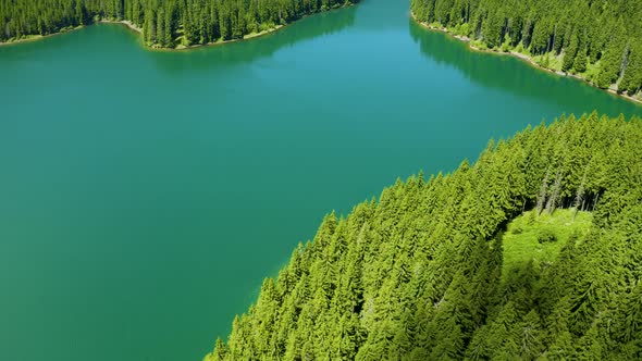 Aerial view of a forest lake. Top view of blue lake and green forests ...