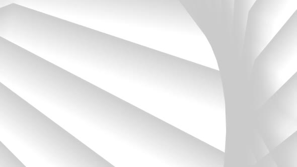 White Color Line Background, Motion Graphics | VideoHive